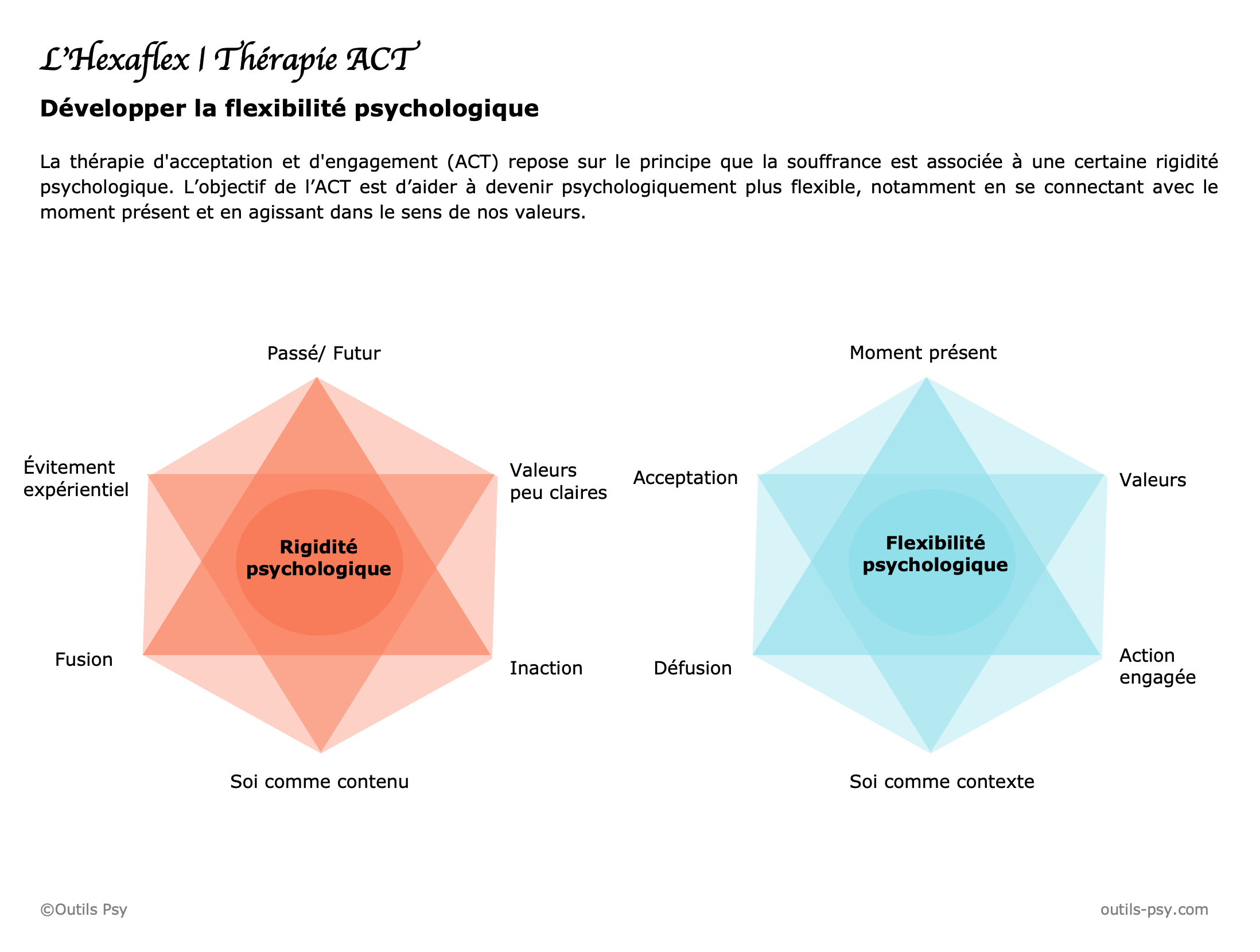 Thérapie ACT | L'hexaflex de la flexibilité psychologique [PDF]