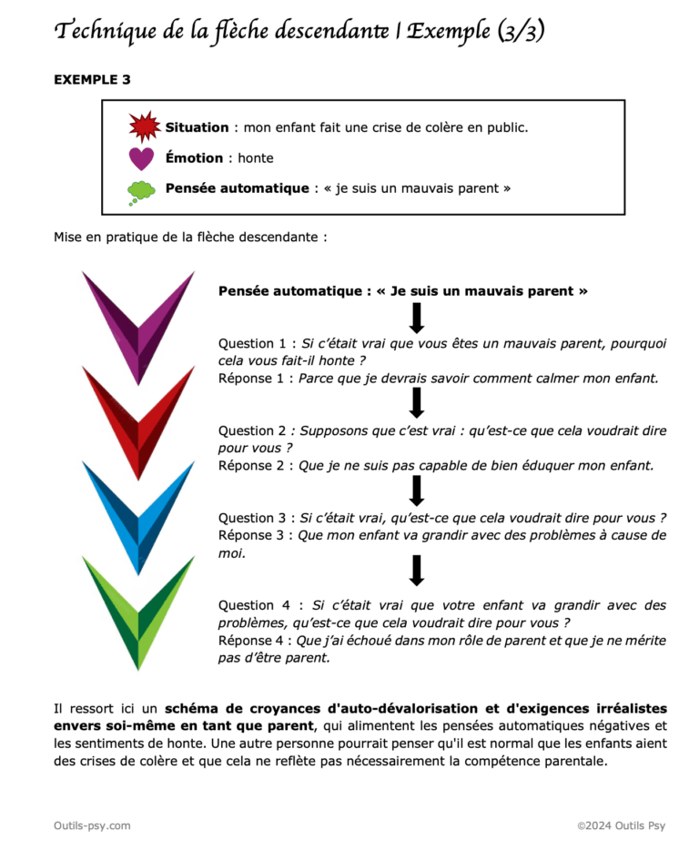 Exercices de thérapie cognitivo-comportementale (TCC) | PDF